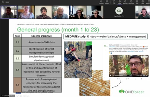 Significant Advances Made in the Mediterranean Pilot | ONEforest